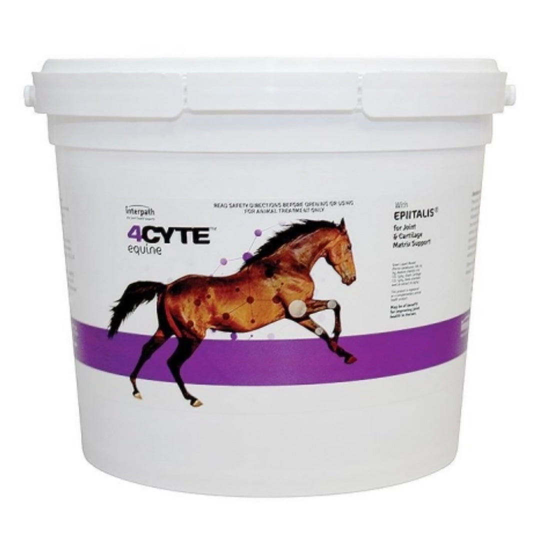 4CYTE Granules Equine - 700g - NZ Wide Shipping